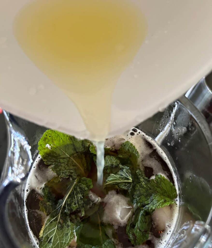 Fresh Mint Iced Tea - Simply Made Eats