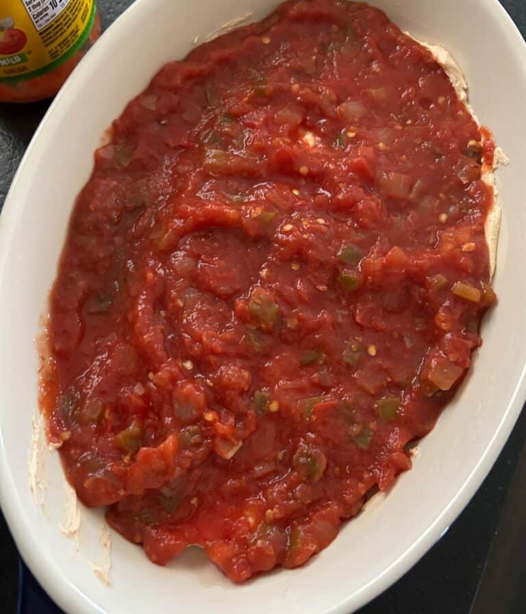 Cream Cheese Salsa Dip - Simply Made Eats