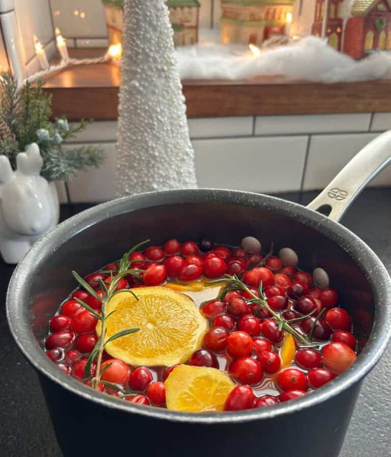Christmas Simmer Pot - Simply Made Eats